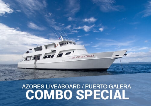 Atlantis Philippines Dive Resorts and Liveaboard - High Quality, Safe ...