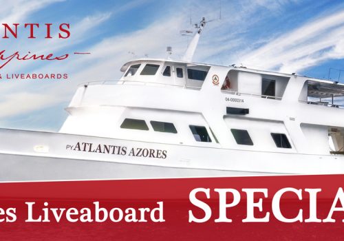 Atlantis Dive Resorts & Liveaboards - Premiere Philippines Scuba Diving